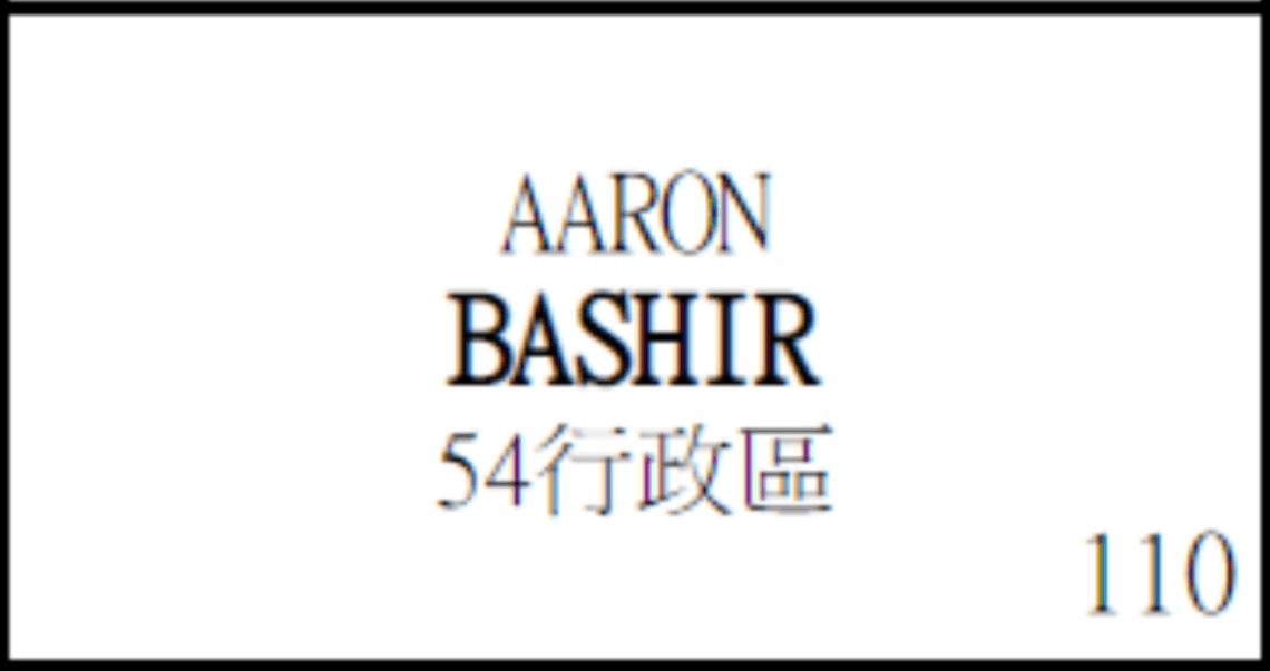 市政府主记长（共和党）候选人-AARON BASHIR#110